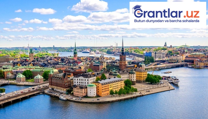 Shvetsiya: Esselar tanlovi; mukofot 30 000 AQSh dollargacha! | GRANTLAR.UZ